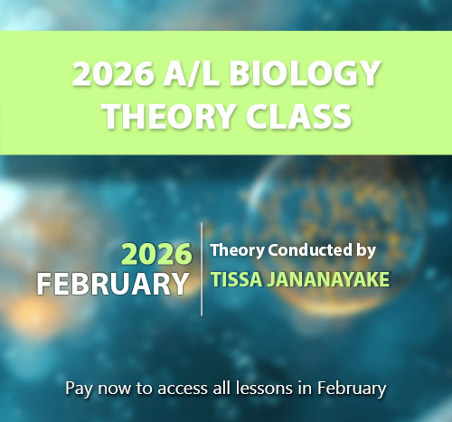 Sipsuru: 2026 Theory